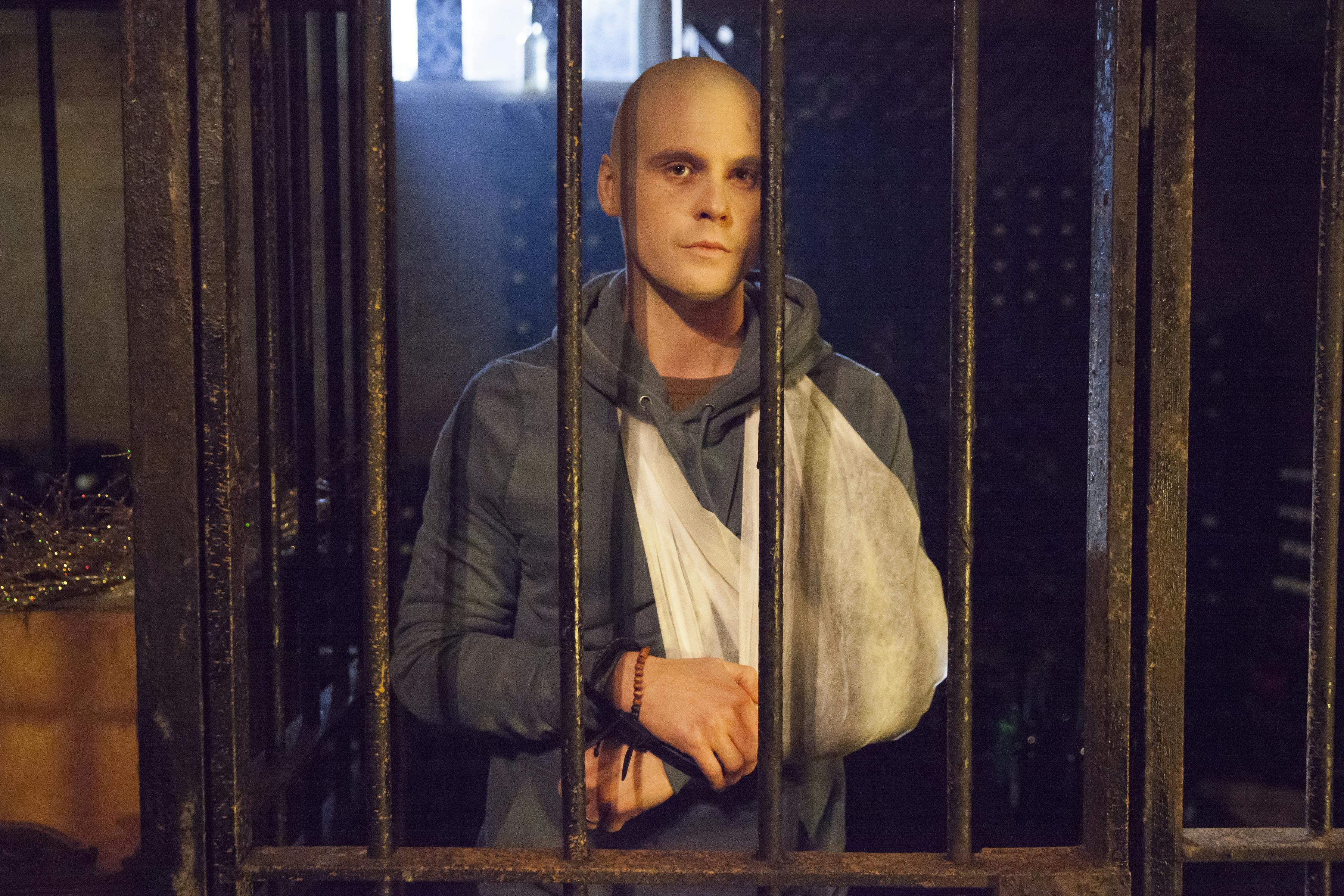 Ill Behaviour | Crave | The Lede