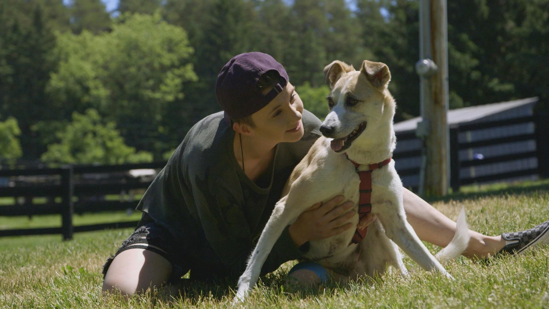 Dog Tales Rescue | CTV Life Channel | The Lede