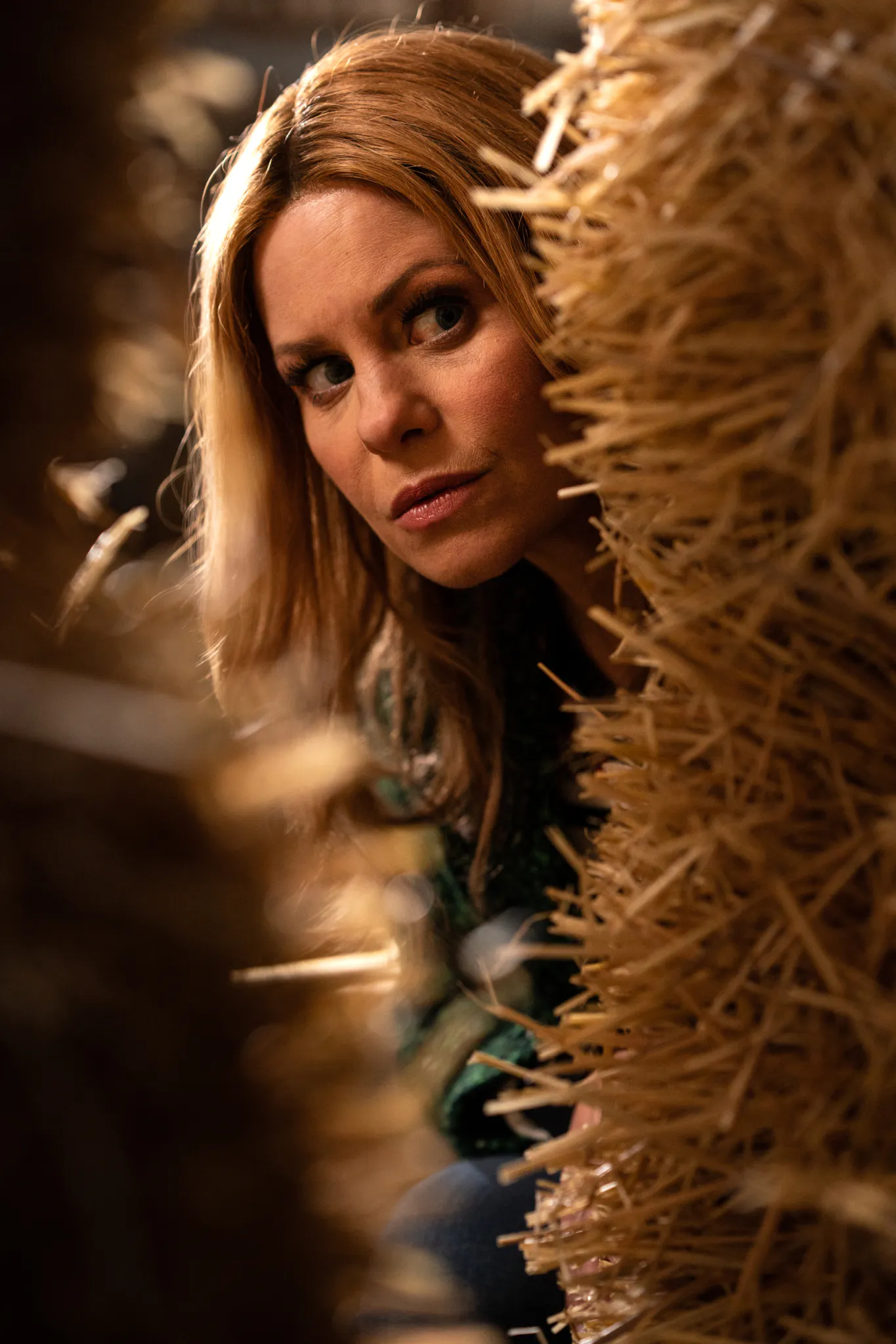 Aurora Teagarden Mysteries | CTV Drama Channel | The Lede