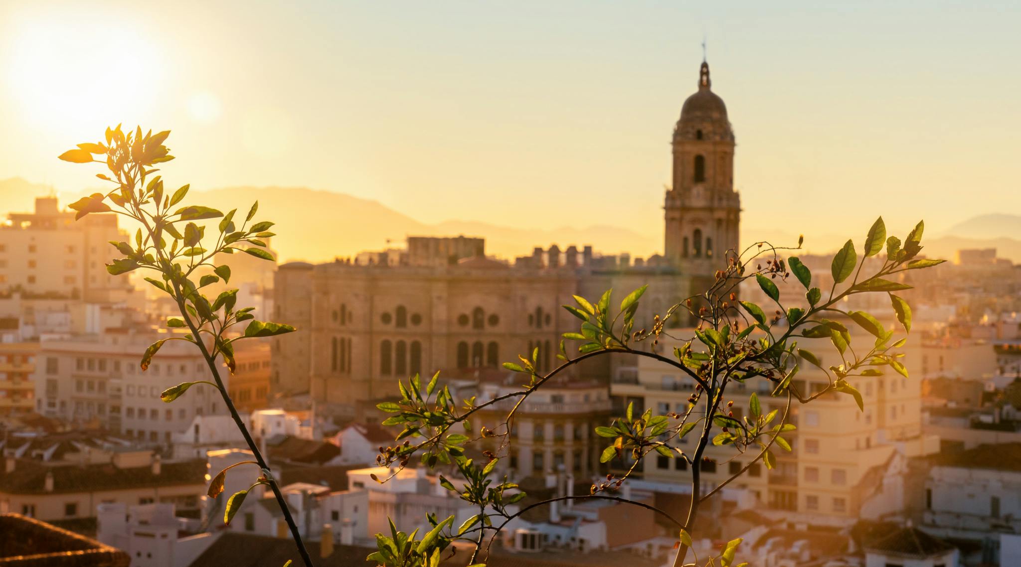 L’autobus des auditions d’OCCUPATION DOUBLE ANDALOUSIE bientôt près de ...